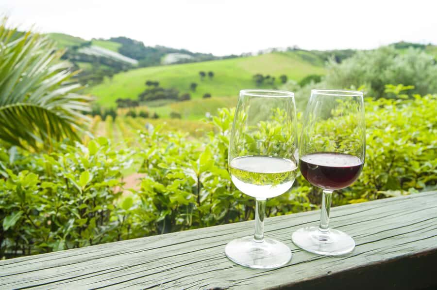The Epic Waiheke Sundowner, Food And Wine Trip - What Makes This Tour Stand Out?