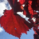 The Intimate wine tasting experiences and Boutique wines - Why This Tour Offers Great Value