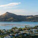 The Seasider - See Otagos Coastline From a New Perspective - What Travelers Say (Based on Reviews)