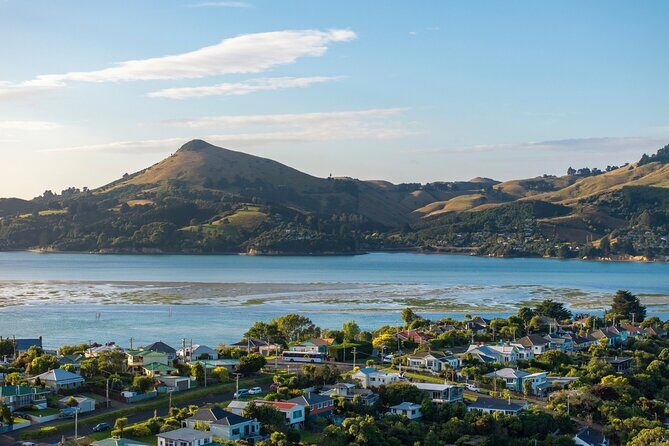 The Seasider - See Otagos Coastline From a New Perspective - What Travelers Say (Based on Reviews)