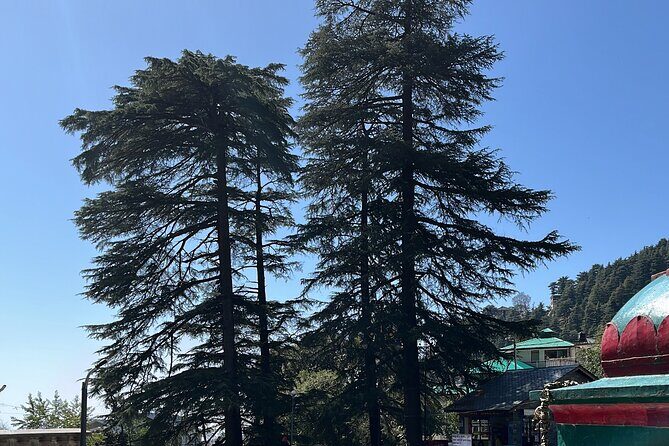 The Story Of Himalayas - A Journey from Amritsar to Dharamshala - An In-Depth Look at the Tour