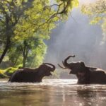 Thekkady Adventure: Off-Road Jeep Safari & Vagamon Tour - What Makes This Tour Valuable?