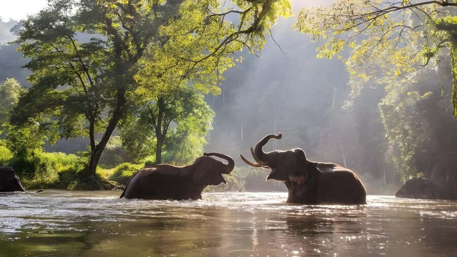 Thekkady Adventure: Off-Road Jeep Safari & Vagamon Tour - What Makes This Tour Valuable?