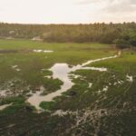 Tissamaharama: Sri Lankan Village Tour with Lunch - Breaking Down the Experience