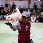 Tochigi: Nasu Animal Kingdom Entry Ticket - Who Will Love Nasu Animal Kingdom?