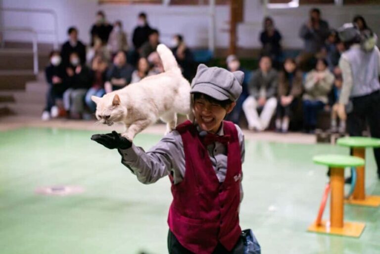 Tochigi: Nasu Animal Kingdom Entry Ticket - Who Will Love Nasu Animal Kingdom?