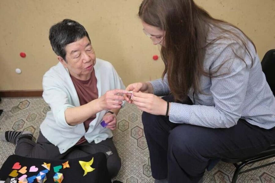 Tokyo 6hr Private Guided Tour and Calligraphy & Origami - The Value of the Tour