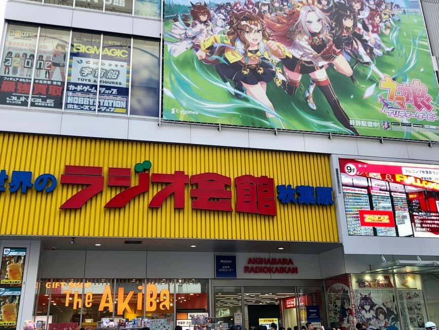 Tokyo: Akihabara Otaku Private Custom Tour - Practical Details and Tips