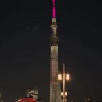 Tokyo in Frames: Instagram-Worthy Private Full-Day City Tour - The Practicalities and Logistics