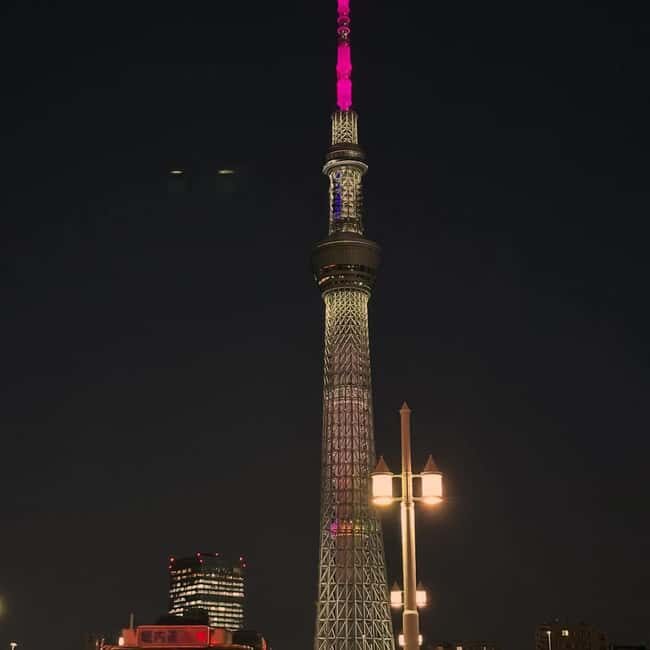 Tokyo in Frames: Instagram-Worthy Private Full-Day City Tour - The Practicalities and Logistics