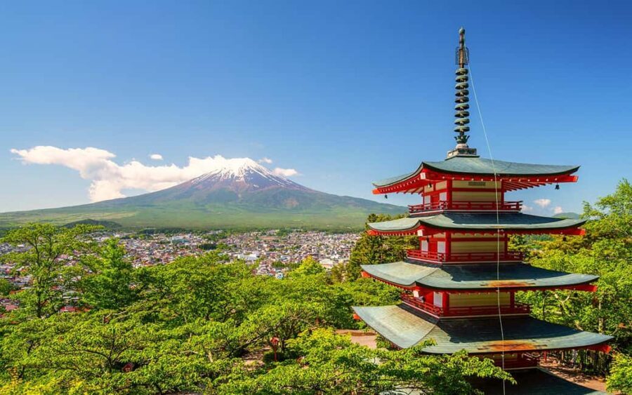 Tokyo: Mount Fuji Private Tour with Scenic Lunch Experience - Who Would Enjoy This Tour?