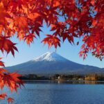Tokyo: Mt.Fuji & Lake Kawaguchiko 1-Day Bus Tour w/Optional Lunch - An In-Depth Look at the Tour Itinerary