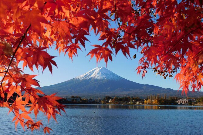 Tokyo: Mt.Fuji & Lake Kawaguchiko 1-Day Bus Tour w/Optional Lunch - An In-Depth Look at the Tour Itinerary