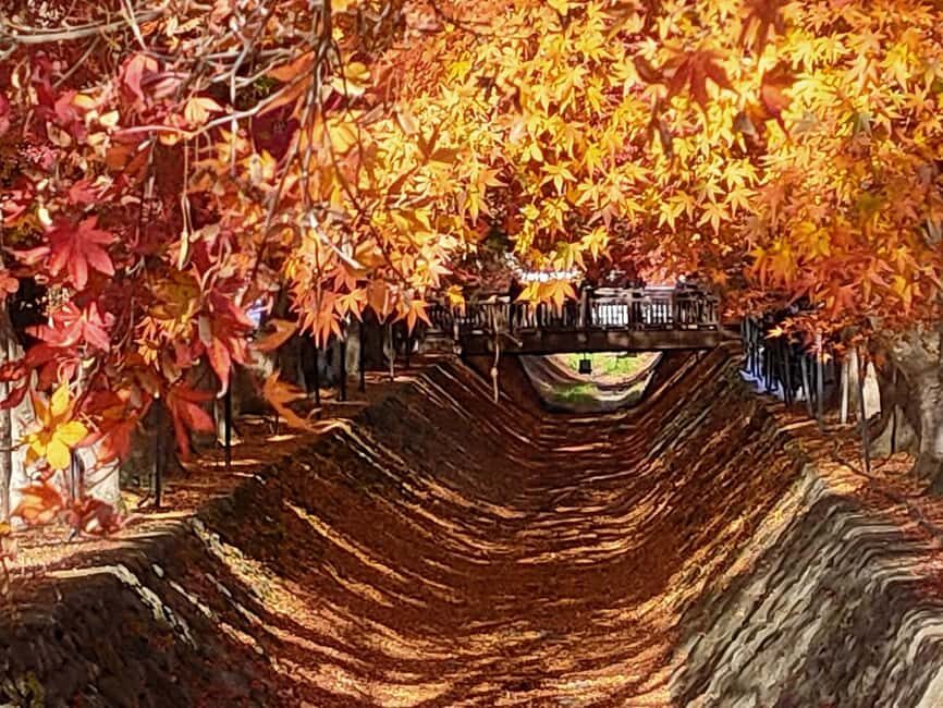 Tokyo: Mt. Fuji&HakoneDayTrip LakeKawaguchi,Kimono&Owakudani - Seasonal and Scenic Highlights