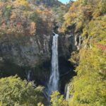 Tokyo  Nikko:Private Customizable Day Trip (English Driver) - How the Experience Comes Together
