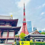 Tokyo: Private 1-Day Tour by Car with Local Guide - A Detailed Breakdown of the Itinerary