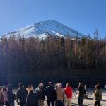 Tokyo: Private Mt. Fuji Day Trip with Local Guide - The Highlights of the Itinerary