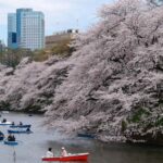 Tokyo Private Sightseeing Tour - A Step-by-Step Look at the Itinerary