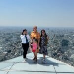 Tokyo Private Tour: One Day Highlights and Optional Shibuya Sky - Transportation and Logistics
