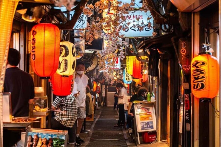Tokyo: Private Walking Tour with a Local Guide - The Guide Experience: Why It Matters