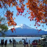Tokyo to Mt. Fuji & Hakone: Private Customizable Day Trip - The Experience: What Travelers Say