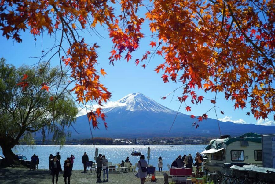 Tokyo to Mt. Fuji & Hakone: Private Customizable Day Trip - The Experience: What Travelers Say