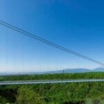 Tokyo:Customizable Private Day Trip to Mt.Fuji & Safari Park - The Practical Side: Transportation, Timing, and Cost