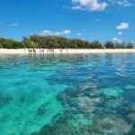 Town of 1770: Lady Musgrave Island Snorkelling Day Cruise - Who Will Love This Tour?