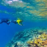 Townsville & Magnetic Island: MOUA & Reef Snorkel Experience - What Makes This Tour Stand Out?