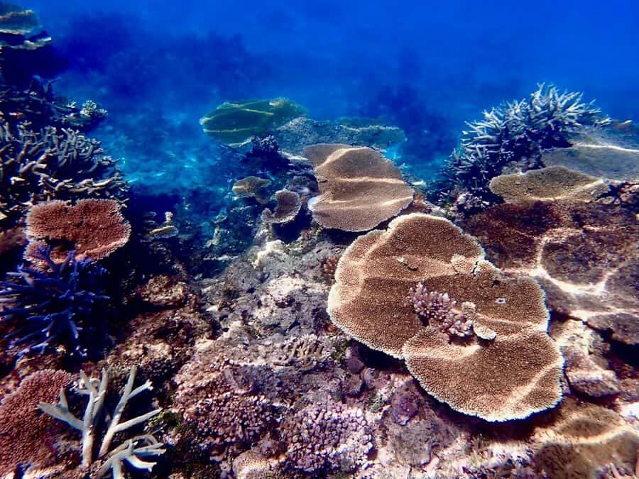 Townsville & Magnetic Island: Reef Explorer Scuba Experience - Who Will Love This Tour?