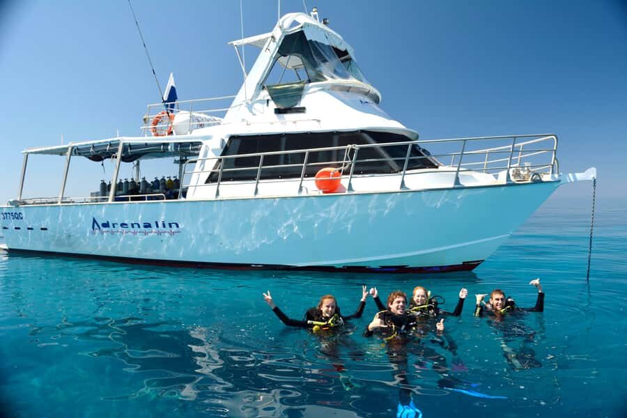 Townsville & Magnetic Island: Reef Explorer Snorkel Trip - Who Will Love This Tour?