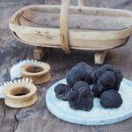 Truffle Hunt and Truffle Pizza Experience in Red Hill - What Visitors Are Saying (Based on Reviews)