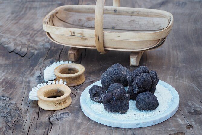 Truffle Hunt and Truffle Pizza Experience in Red Hill - What Visitors Are Saying (Based on Reviews)