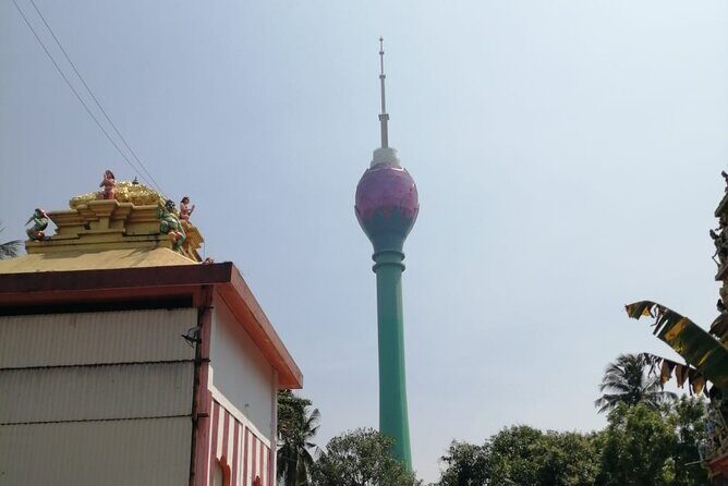 Tuk Tuk Safari Colombo Sri Lanka - What Our Reviewers Say