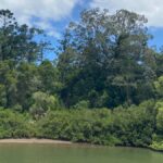 Tweed River Cruise: relax with a Morning Tea cruise - Who Should Consider This Experience?