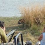 Two Night Safari Experience Ranthambore National Park &Transfers - The Practical Side: Transportation, Cost, and Value
