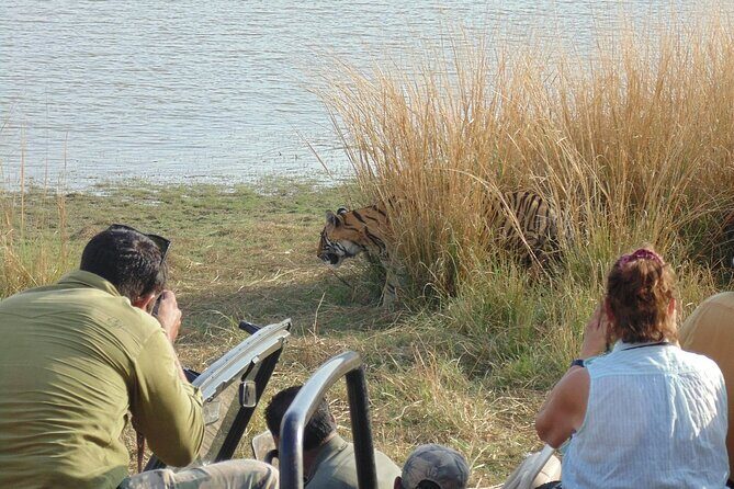 Two Night Safari Experience Ranthambore National Park &Transfers - The Practical Side: Transportation, Cost, and Value