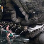 Ubud Top Tours to Discover Balis Cultural and Natural Wonders - Practical Details and What You Get