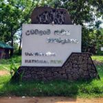 Udawalawe National Park Safari from Unawatuna - What You Can Expect: The Itinerary Breakdown