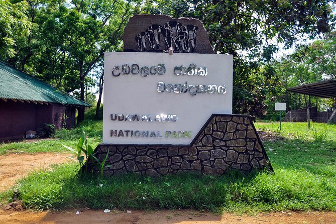 Udawalawe National Park Safari from Unawatuna - What You Can Expect: The Itinerary Breakdown