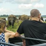 Udawalawe Safari Day Trip with Return Transport - All Inclusive - Real Traveler Perspectives