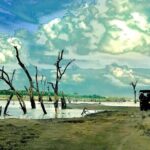 Ultimate 8-Day Sri Lanka Adventure: Private Guided Tour - Why Travelers Will Appreciate This Tour