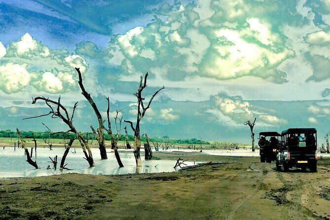 Ultimate 8-Day Sri Lanka Adventure: Private Guided Tour - Why Travelers Will Appreciate This Tour