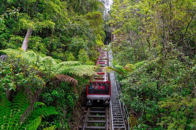 Ultimate Blue Mountains, Scenic World, Zoo & Lincoln's Rock Tour - What Makes This Tour Stand Out
