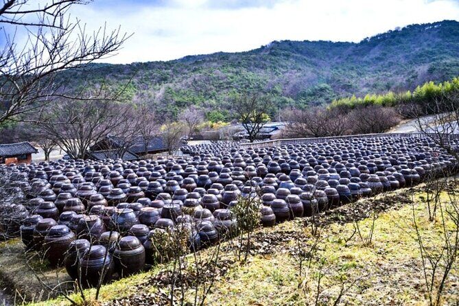 Untold Stories of Koreas Spiritual Jewel at Tongdosa - Who Will Love This Tour?