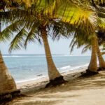 Upolu Samoa Full Day Private Tour - Exploring Samoa’s Natural Beauty in One Day
