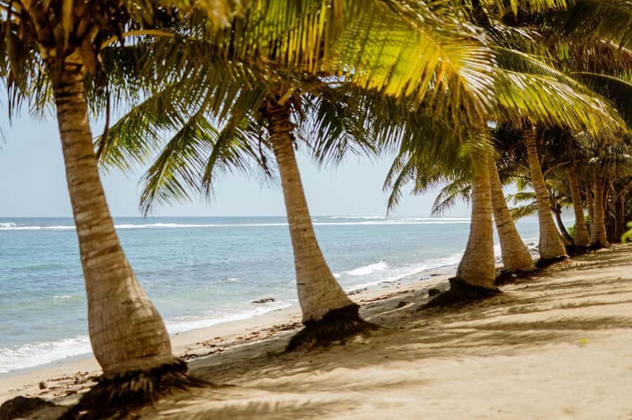 Upolu Samoa Full Day Private Tour - Exploring Samoa’s Natural Beauty in One Day