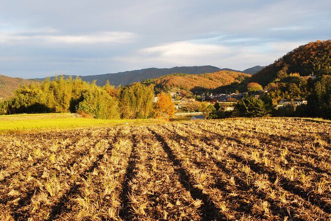 URA*KOBE Japans Rural History and Hiking - Making Rice Balls at the Satoyama Experience House