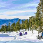 Uttarakhand: Kedarkantha Trek 6-Day Adventure - What to Expect from the Experience
