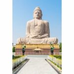 Varanasi to Bodhgaya : A day trip of Enlightment exploration - What the Reviews Say